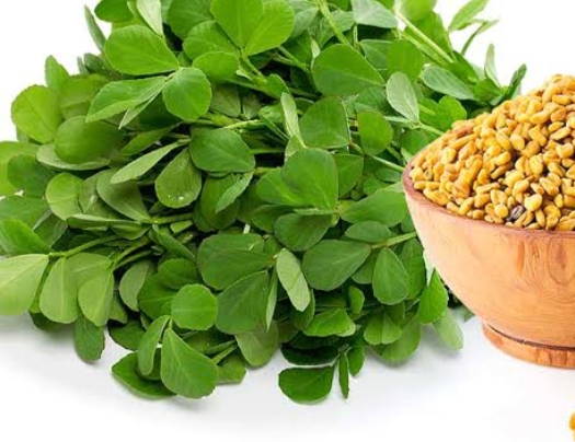 வெந்தய கீரை/ kasthuri methi - Shop your Seeds