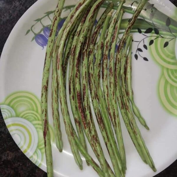 Home - Shop your Seeds