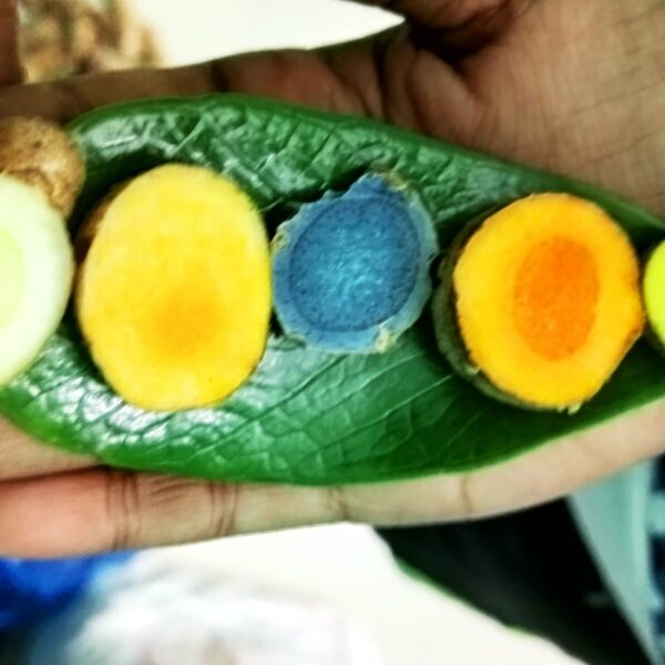 Home new - Shop your Seeds